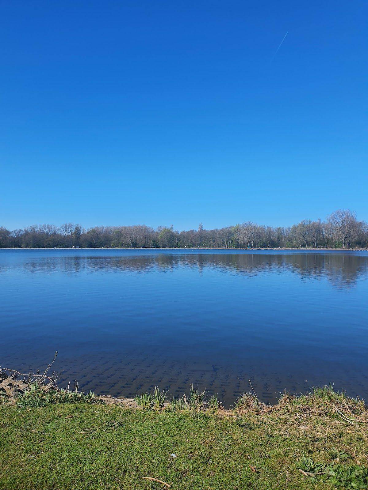 Het Delftse Hout - Uit Met Kinderen